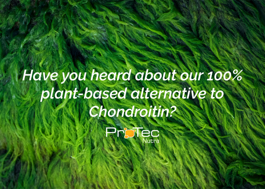 News – ProTec Nutra