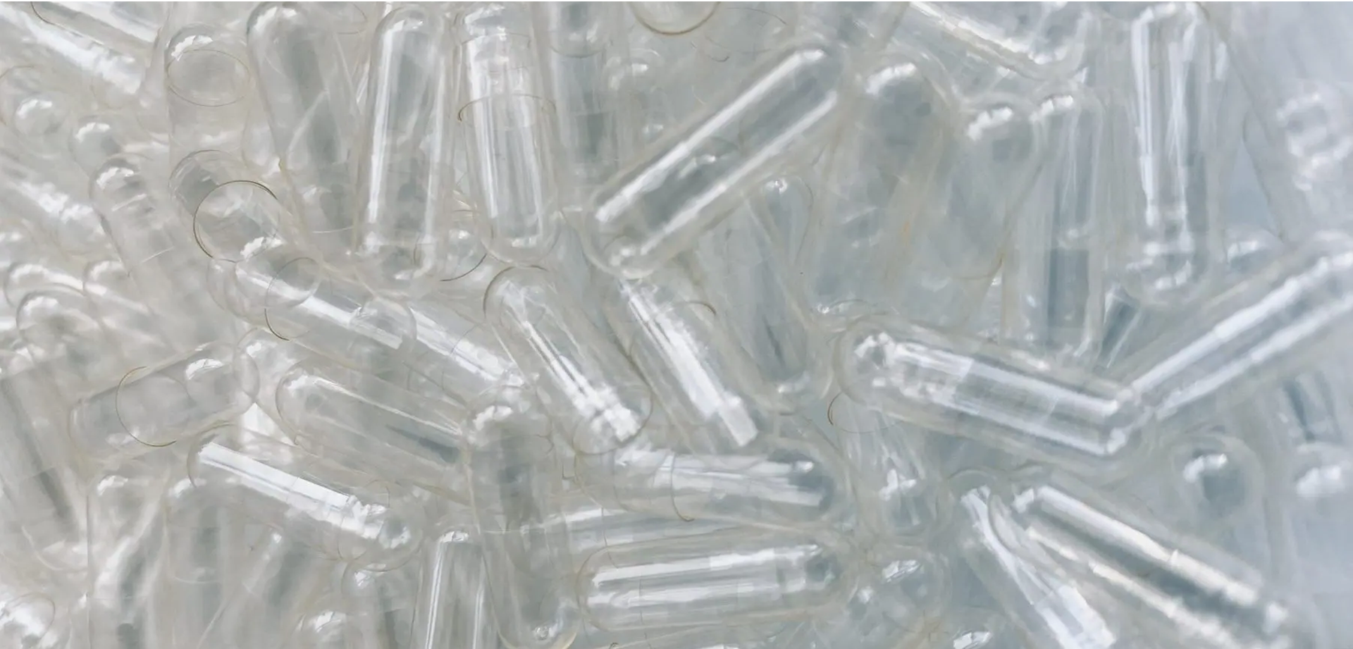 News – ProTec Nutra